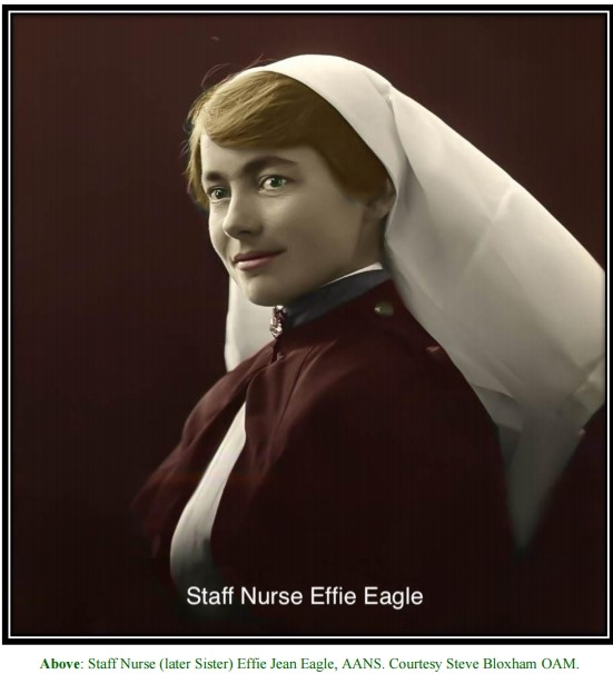 Anzac Nurses of the Great War | Families and Friends of the First AIF